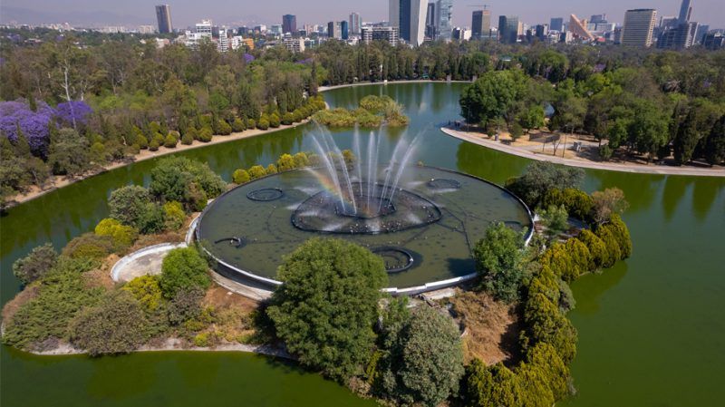 El Bosque de Chapultepec tiene nuevas reglas: No más perritos, música o ...