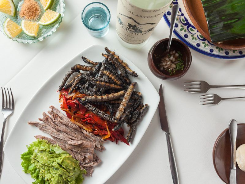 Cuetlas y menyul: un platillo prehispánico con una bebida contemporánea ...