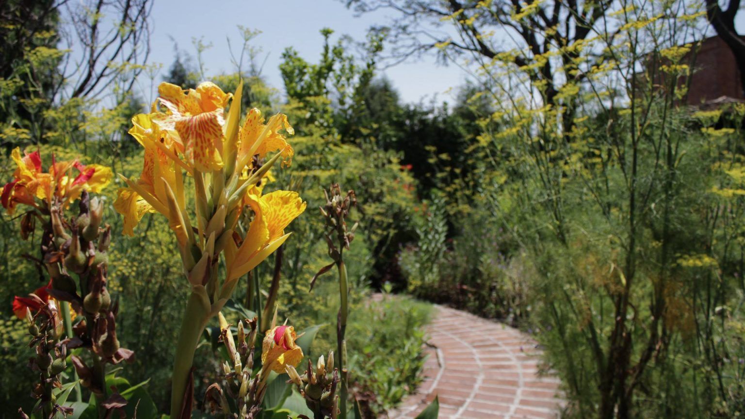 Jardín etnobotánico de Cholula, un paraíso verde en Puebla