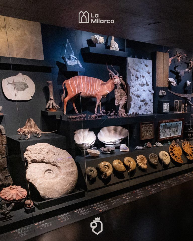 La Milarca, el museo de Monterrey que podría ser Patrimonio Cultural de ...