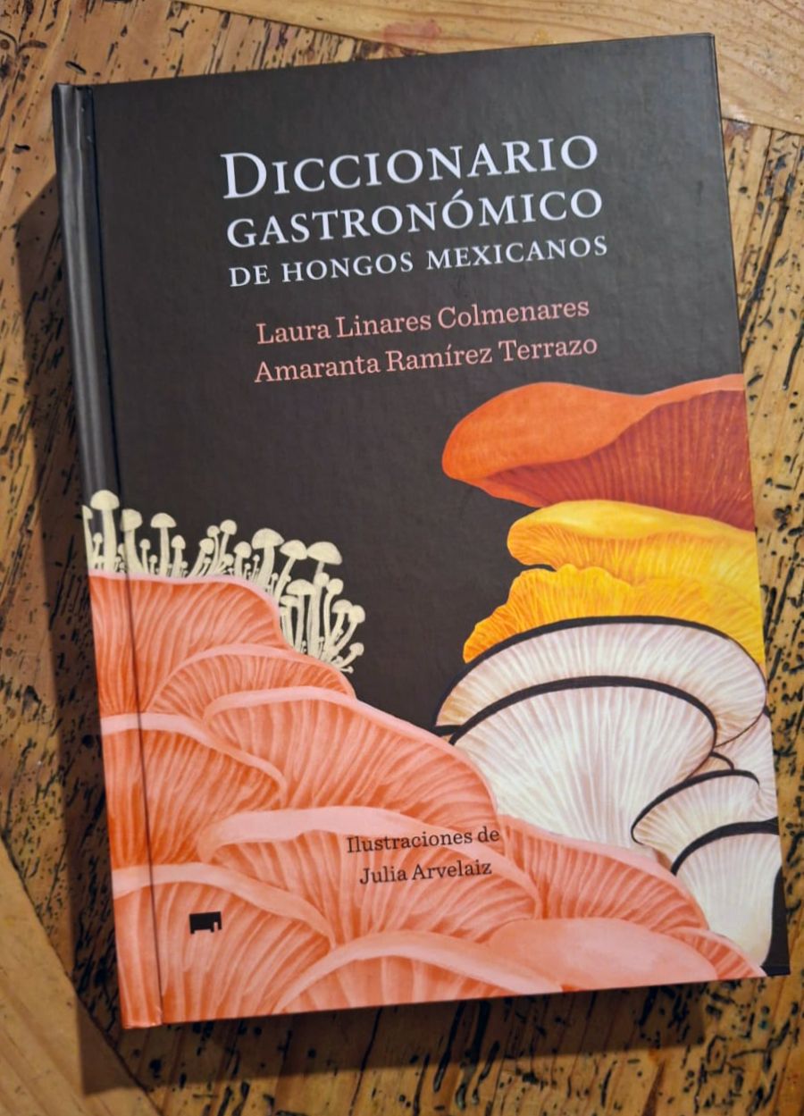 El Diccionario gastronómico de hongos mexicanos: cultura y tradición ...