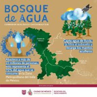 ¿Qué es el Bosque de Agua que será cuidado por la CDMX, Edomex y Morelos?