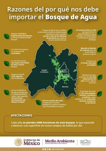 ¿Qué es el Bosque de Agua que será cuidado por la CDMX, Edomex y Morelos?