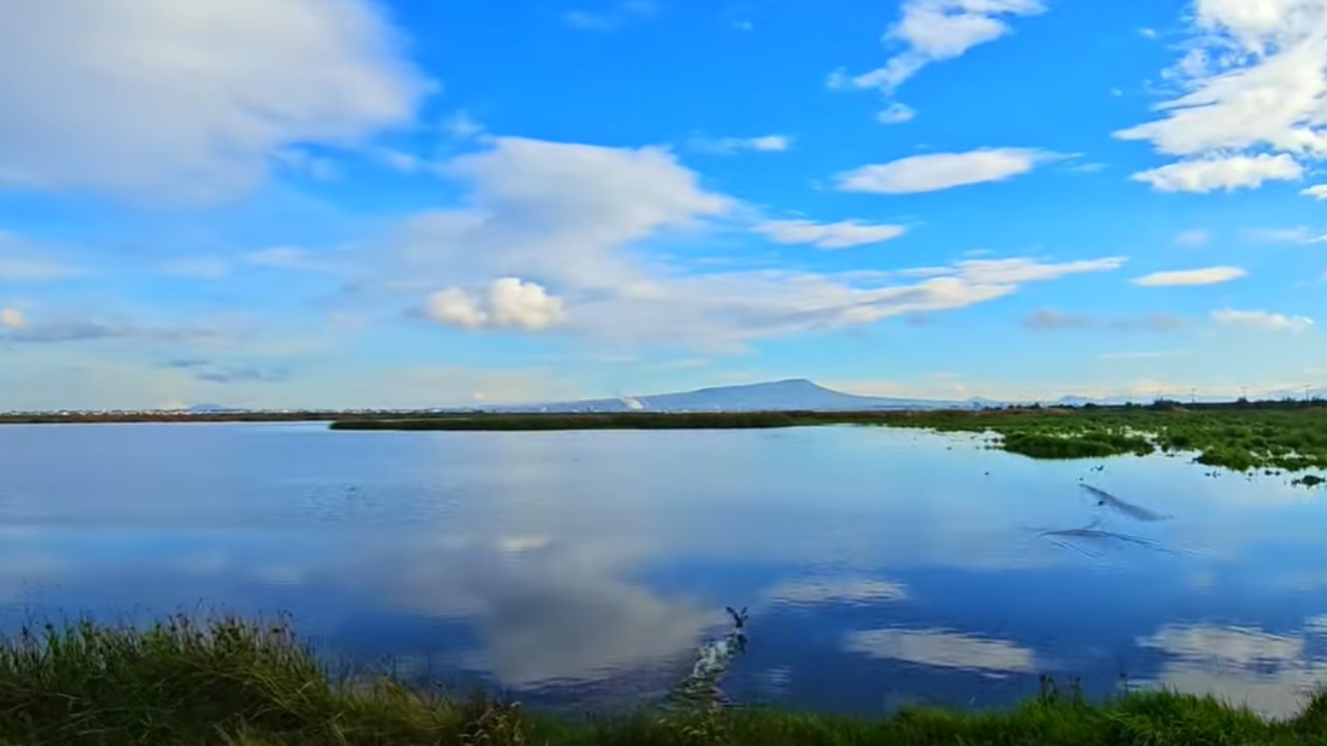 Las Lluvias reviven el Lago de Texcoco y cubren restos del NAICM