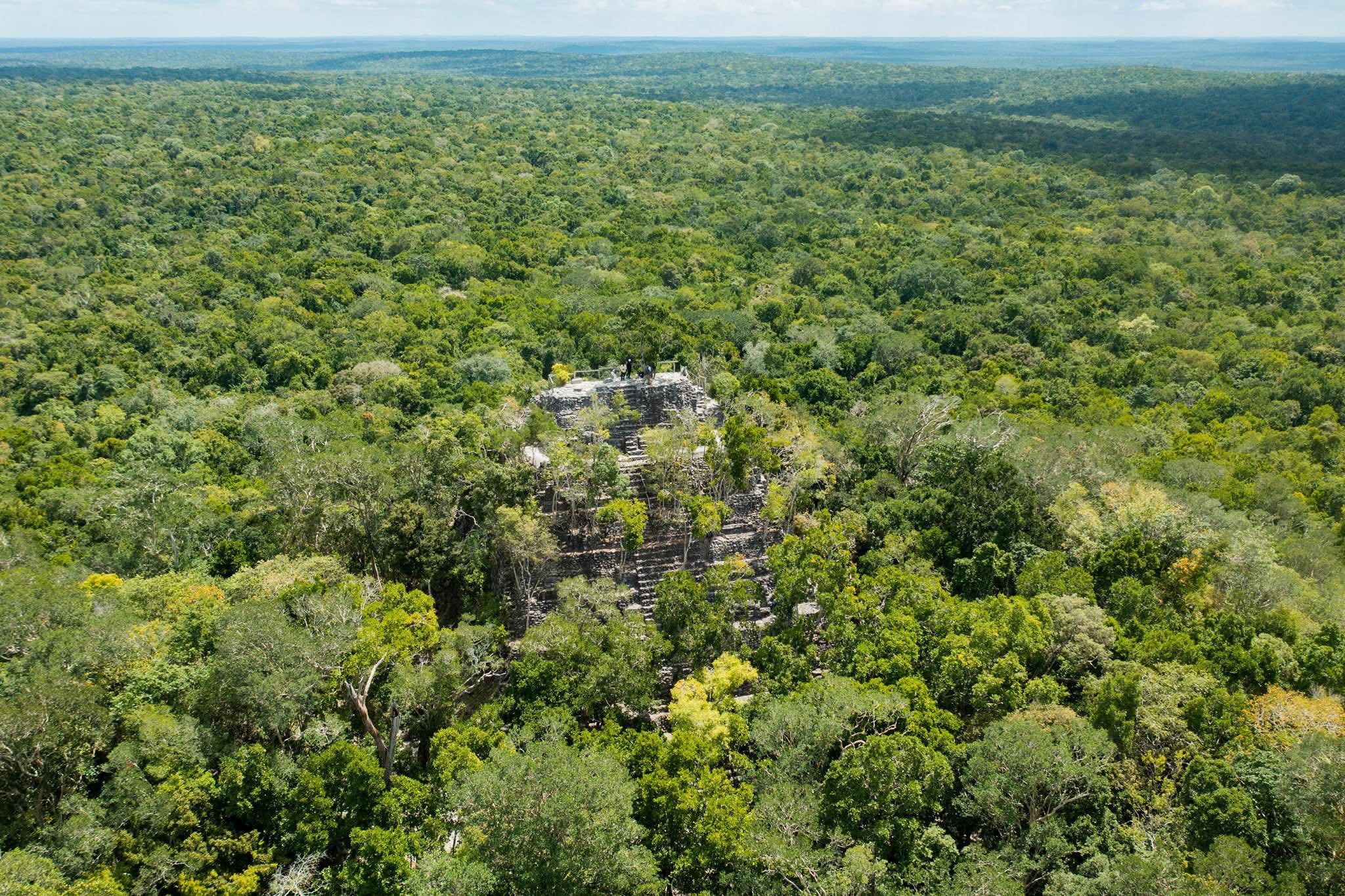 Descubren Ciudad Maya Perdida En La Selva Del Sur De Yucatán Chunkanob